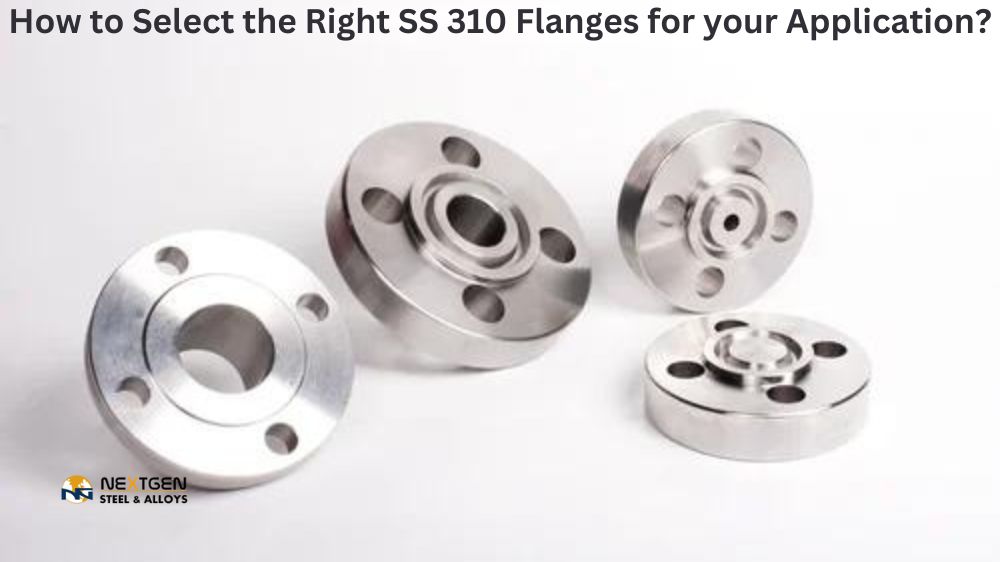 How to Select the Right SS 310 Flanges for your Application?